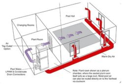 Swimming Pool Architects Guide | Compass Pools
